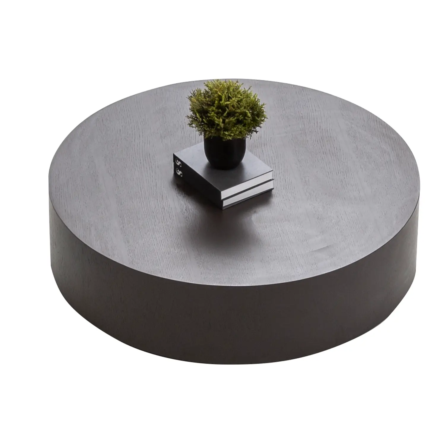 Gamma Coffee Table - Saloni Furniture